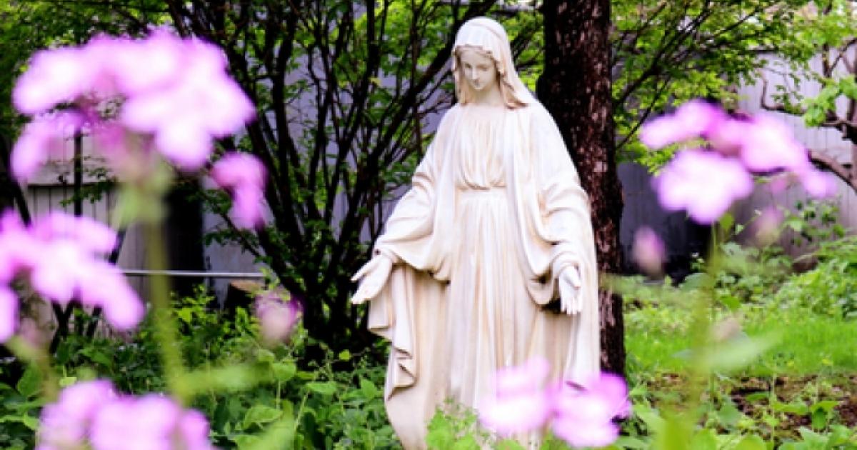 Phút Cầu Nguyện, Thứ Năm 15/05/2025: Mẹ Maria – Giai điệu trầm trong ...